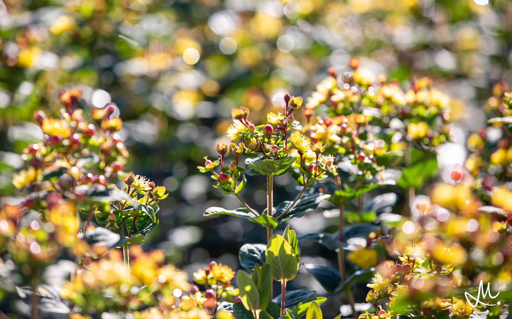 farm photography | Marginpar